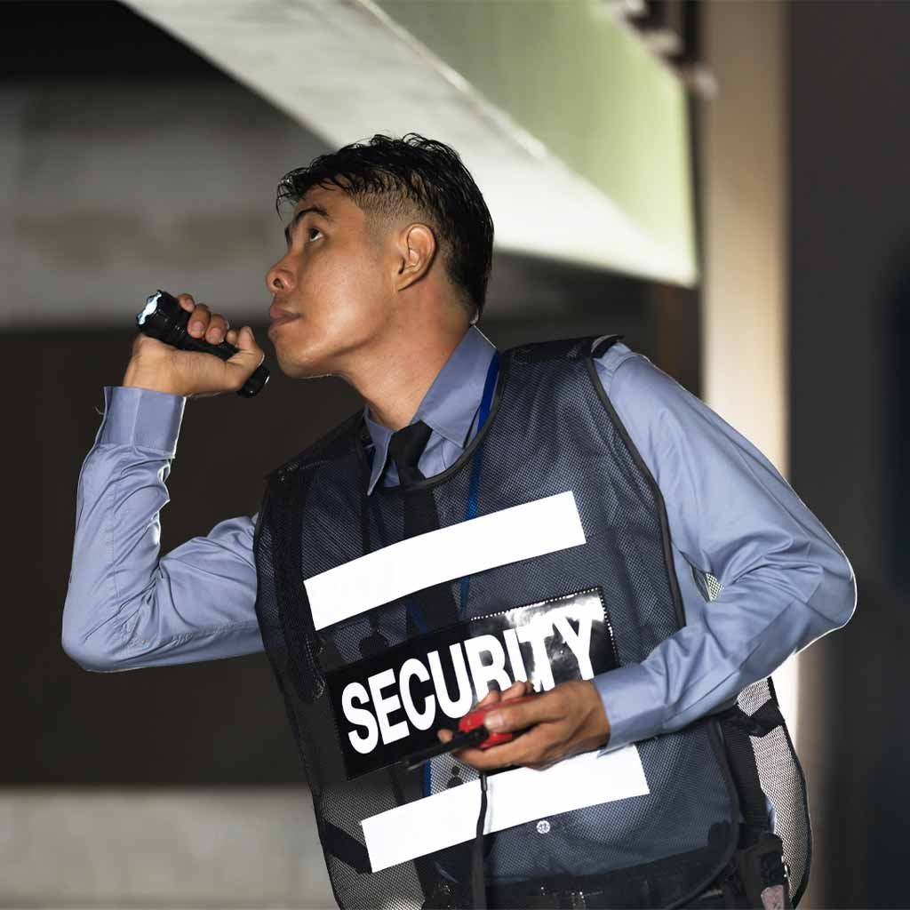 Security Services - Blue Diamond Services